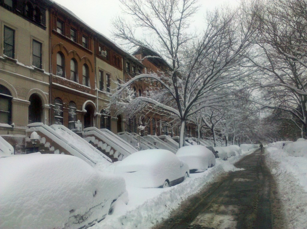 Block history gallery – Tenth Street Park Block Association (Brooklyn)